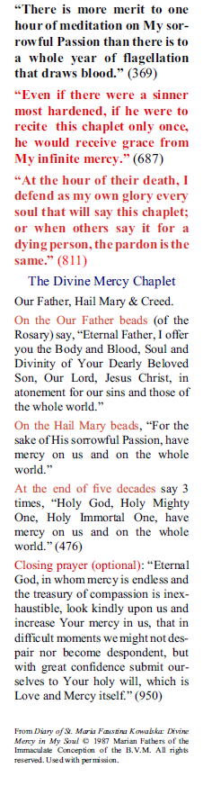 Divine Mercy Chaplet Bookmark – Catholic Faith Alive!, Inc.